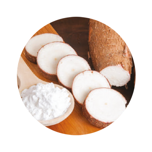 Modified Starch - Agricore